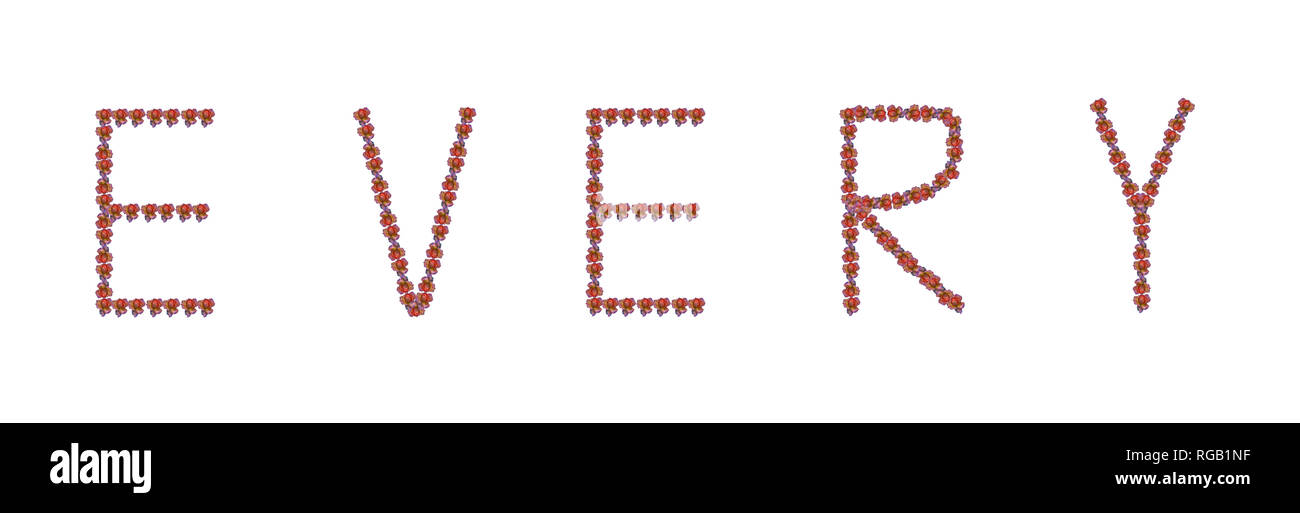 Fine art still life color image of the word every constructed from ...