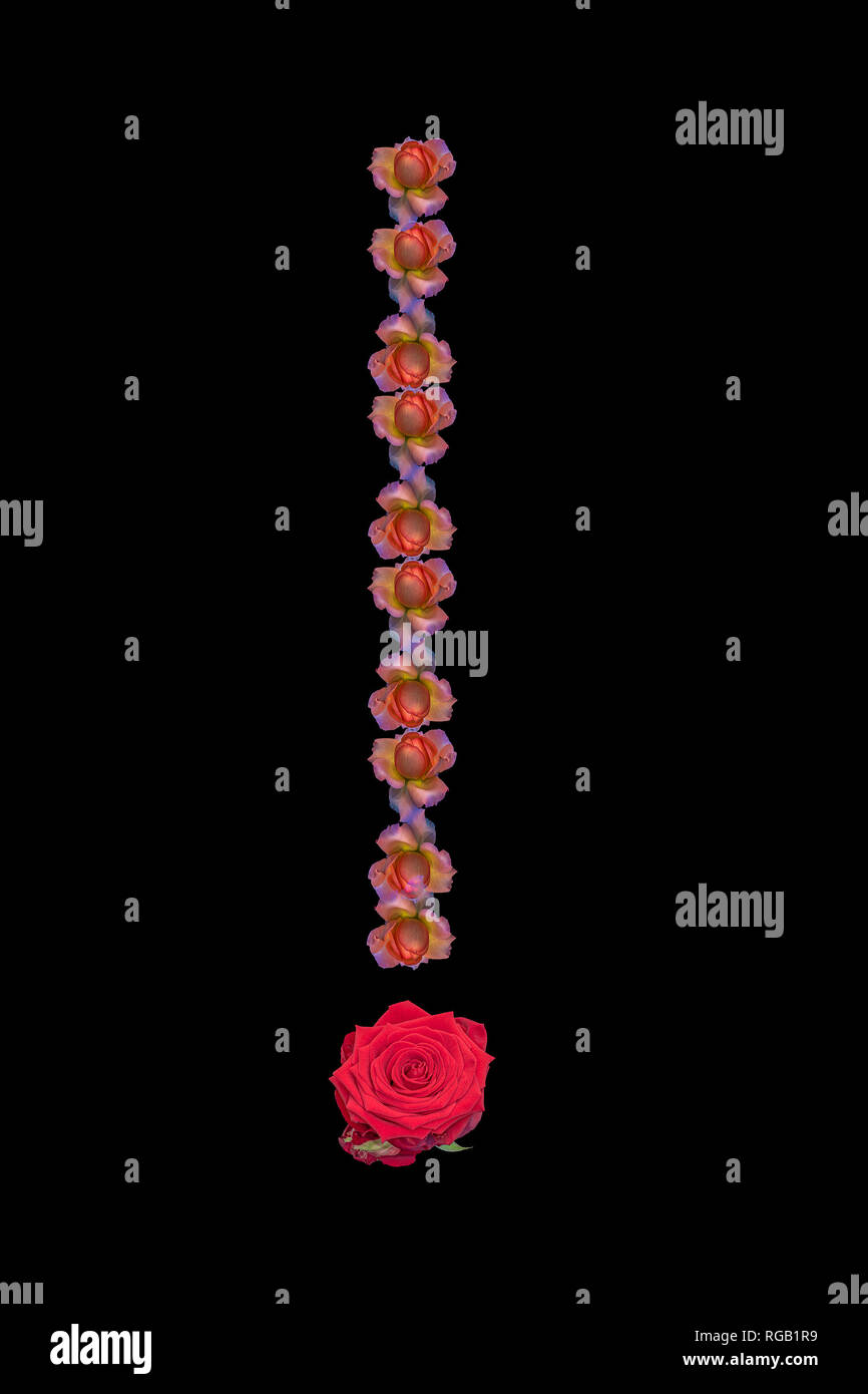 Fine art still life color image of an exclamation mark constructed from ...