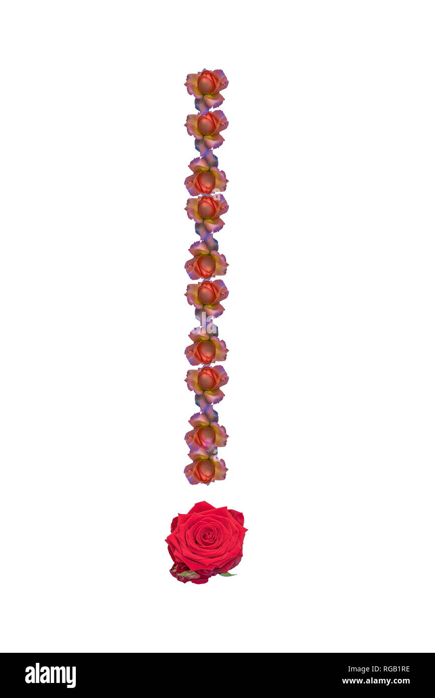 Fine art still life color image of an exclamation mark constructed from ...