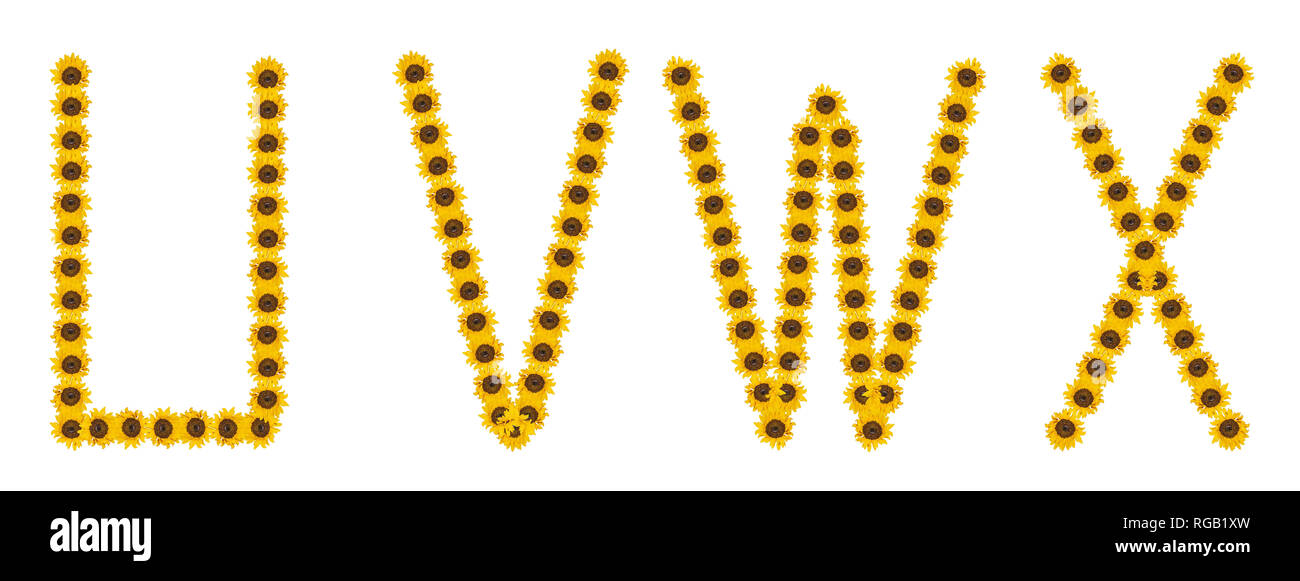 High resolution large color floral/flower characters/letter set U V W X ...