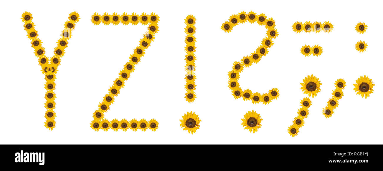 High resolution large color floral/flower characters/letter set Y Z and ...