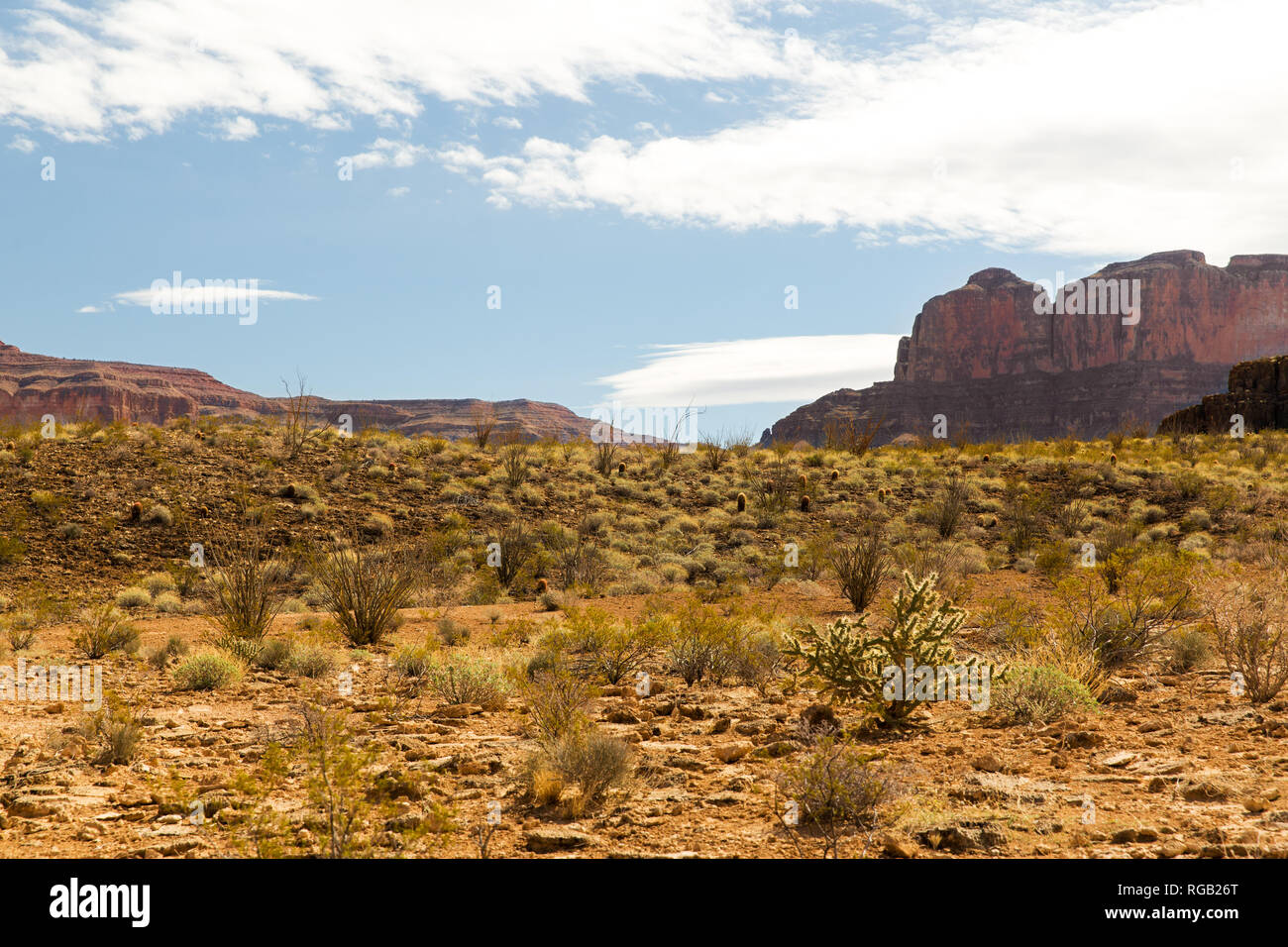 view of grand canyon desert Stock Photo - Alamy