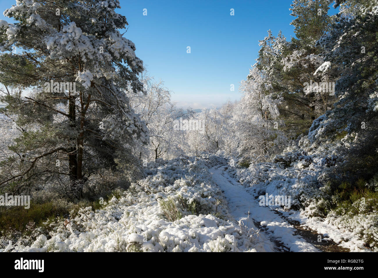Path through snow covered landscape in the hills of Northern England ...