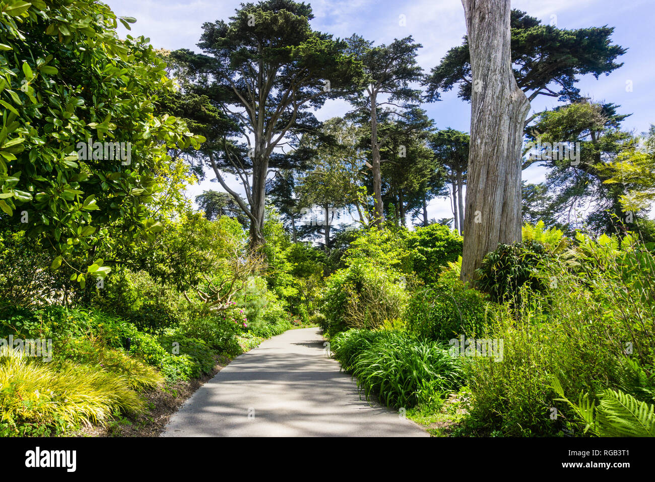 Paved path in garden hi-res stock photography and images - Alamy
