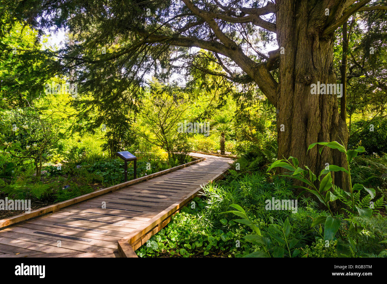 Meandering walkway hi-res stock photography and images - Alamy