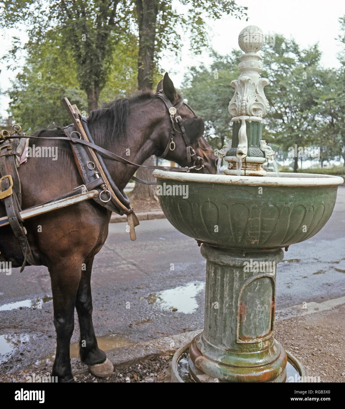 Canada, Ontario life in the 19th century in rural Ontario,female and ...