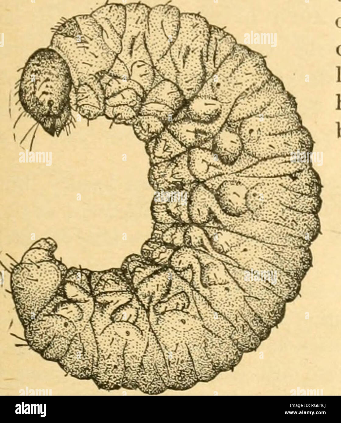 Surface rougher hi-res stock photography and images - Alamy