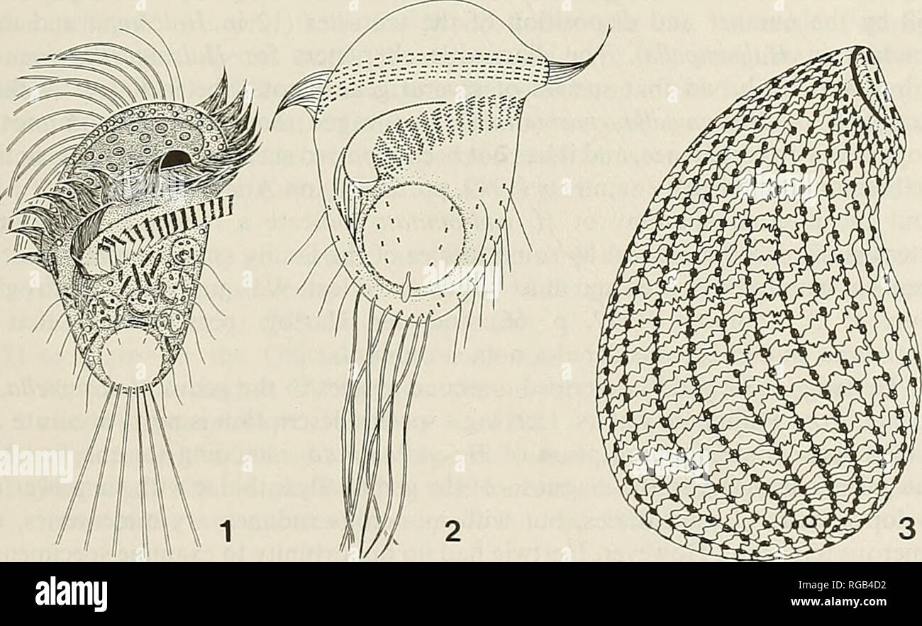 . The Bulletin of zoological nomenclature. Animals. Bulletin of ...