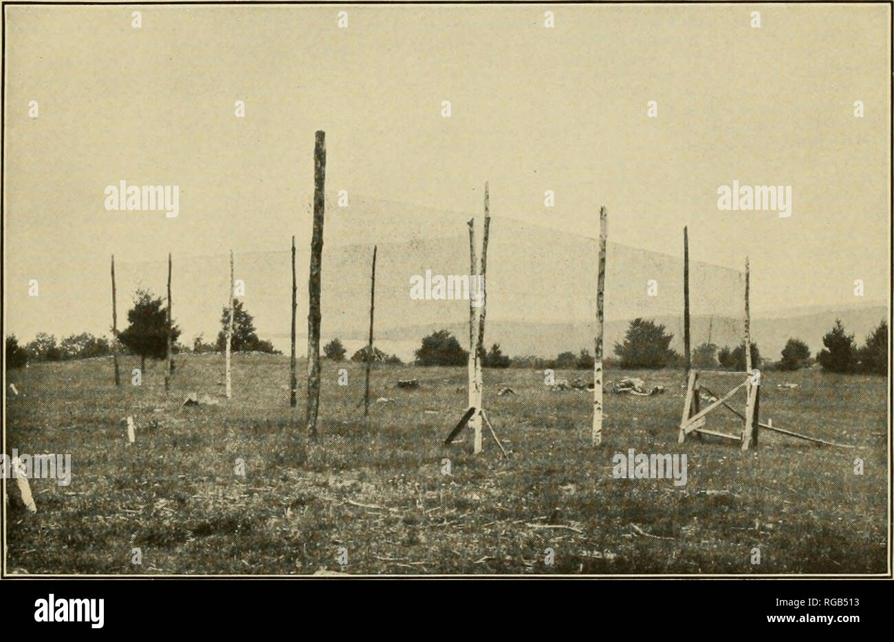 Lunging island hi-res stock photography and images - Alamy