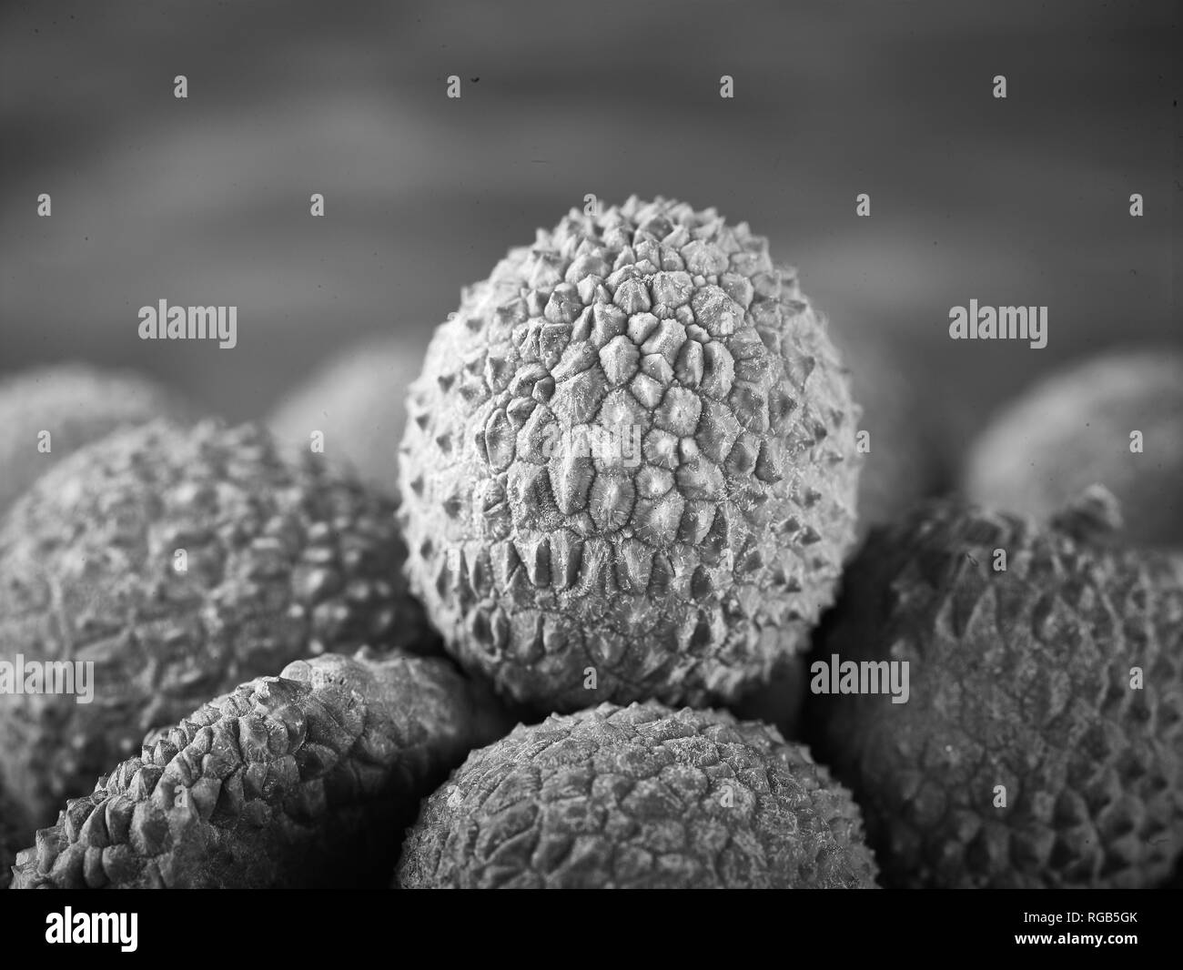 Lychee chinensis Black and White Stock Photos & Images - Alamy