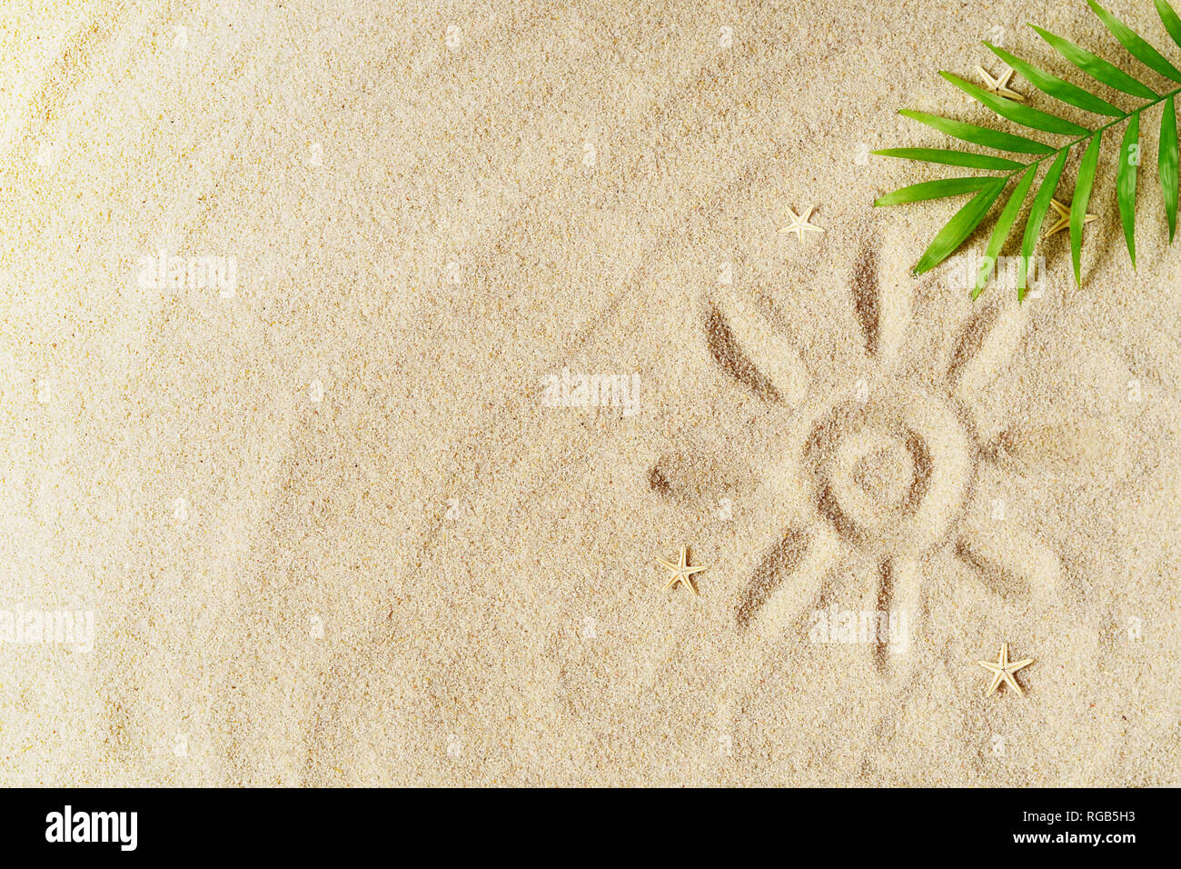 Starfish drawing hi-res stock photography and images - Alamy