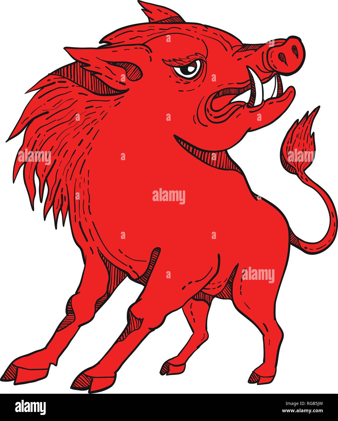 Wild Razorback Animal