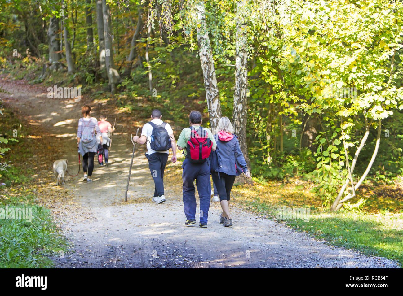 Group hiking forest hi-res stock photography and images - Alamy
