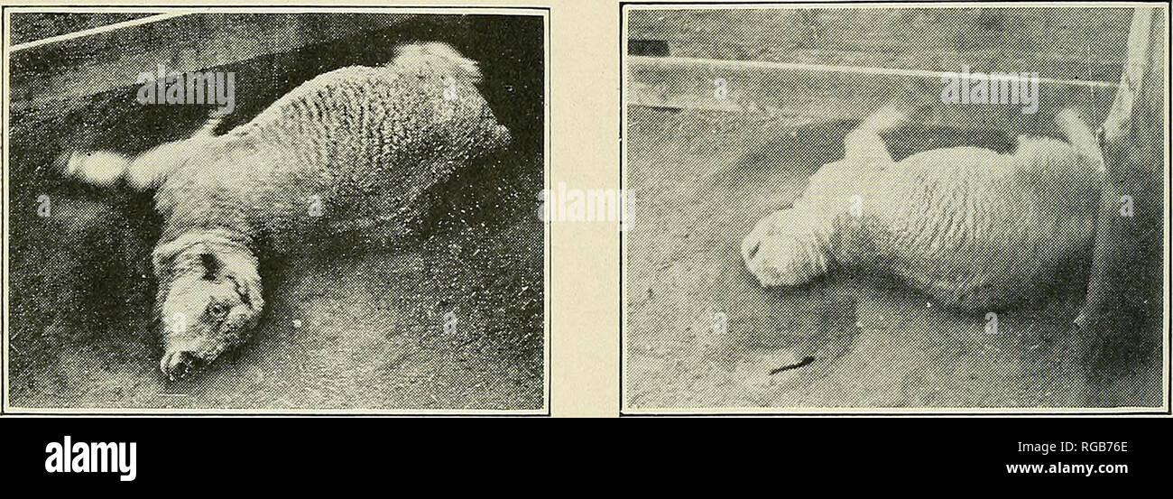 Opisthotonos hi-res stock photography and images - Alamy