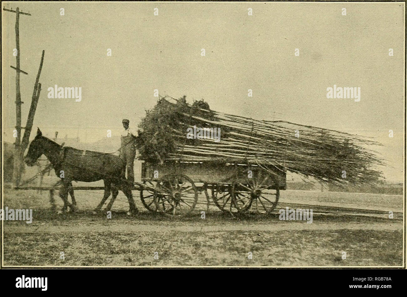 Taking extra care hi-res stock photography and images - Alamy
