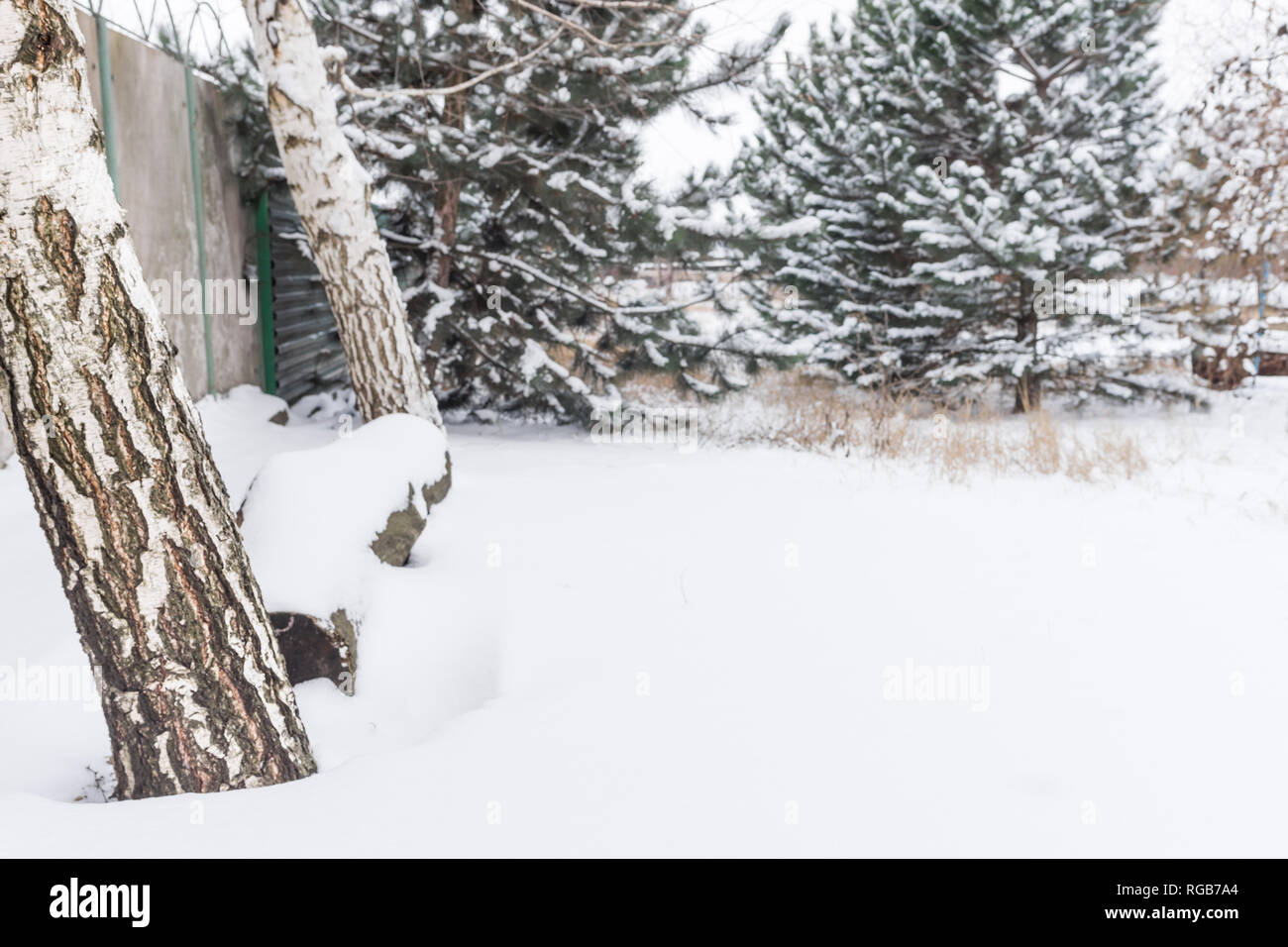 Frozen leaves covered log hi-res stock photography and images - Alamy