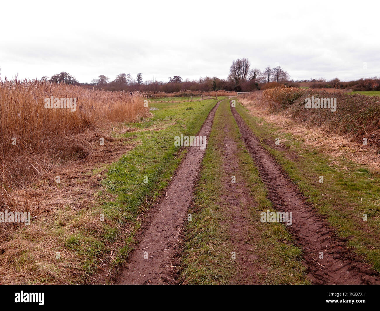 Hollesley marshes hi-res stock photography and images - Alamy