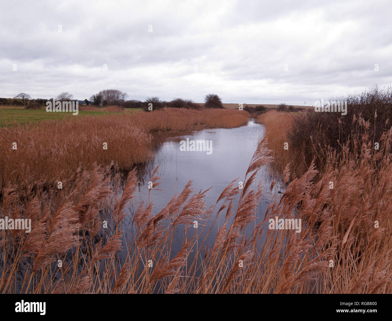 Hollesley marshes hi-res stock photography and images - Alamy