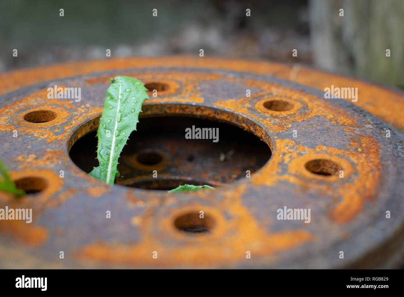 Brake texture hi-res stock photography and images - Alamy