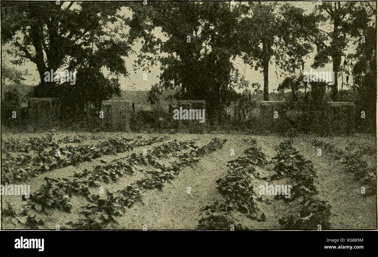 . Bulletin of the U.S. Department of Agriculture. Agriculture ...