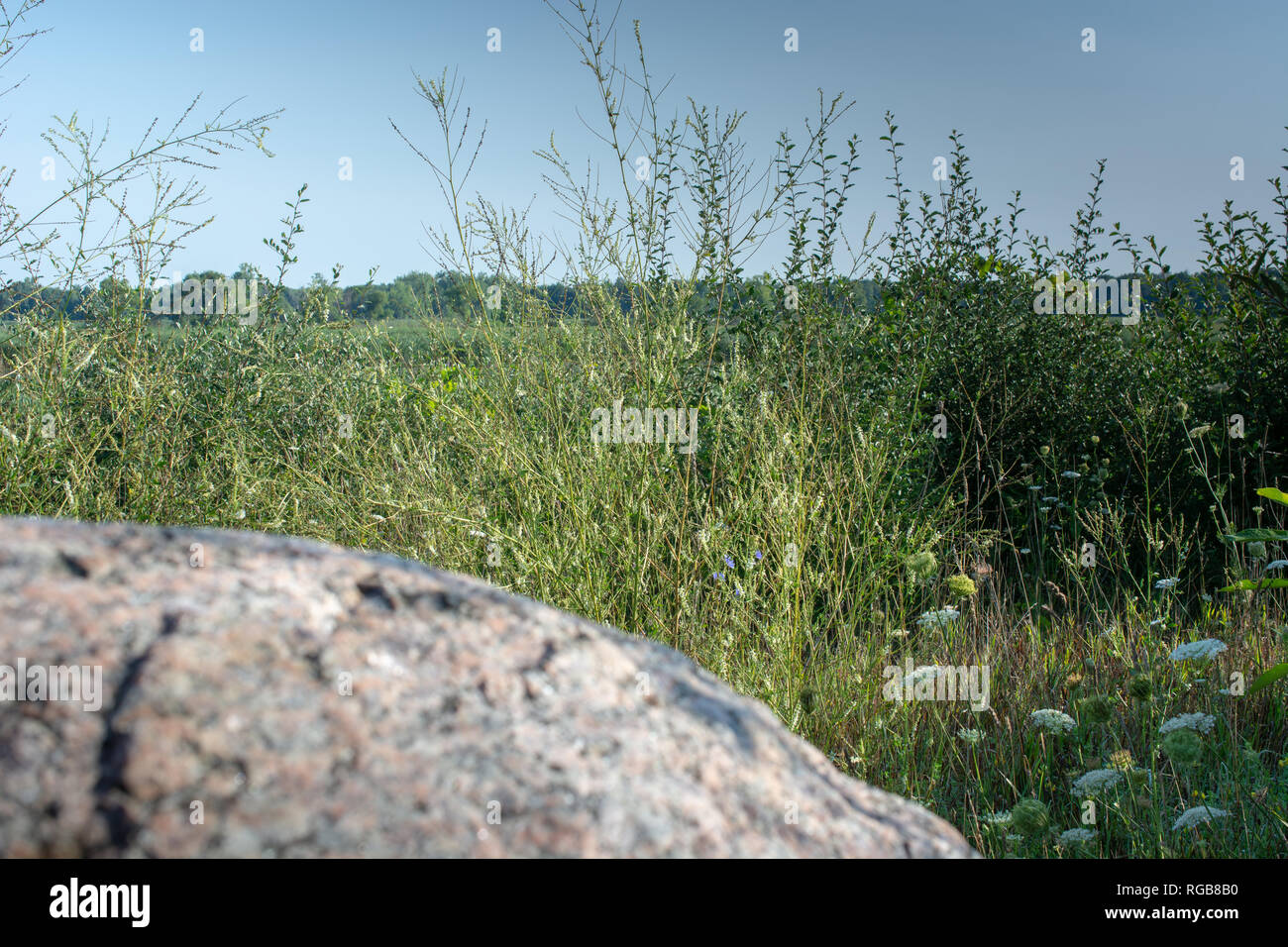 Field surface stone hi-res stock photography and images - Alamy