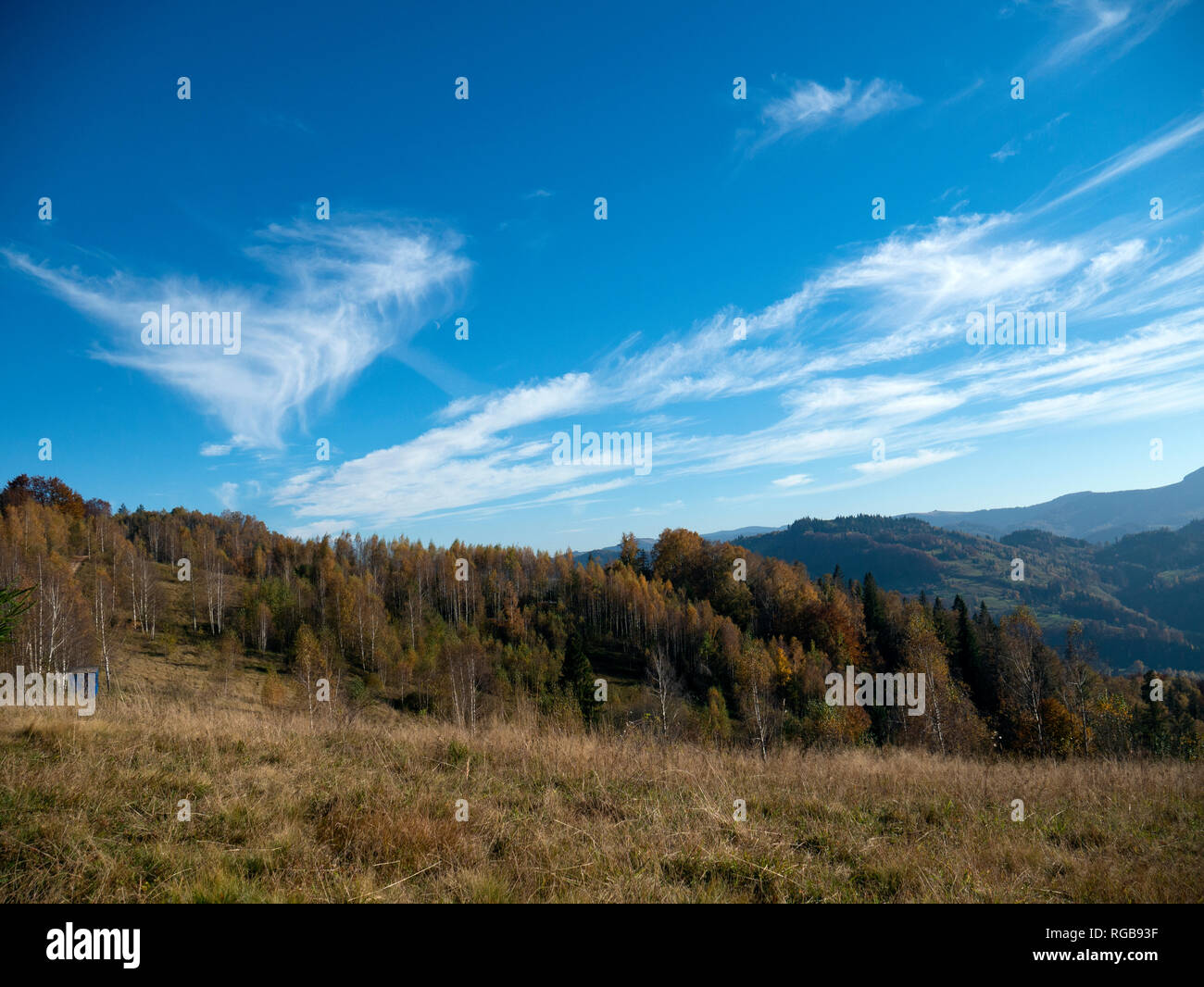 the mountain autumn landscape with colorful forest Stock Photo - Alamy