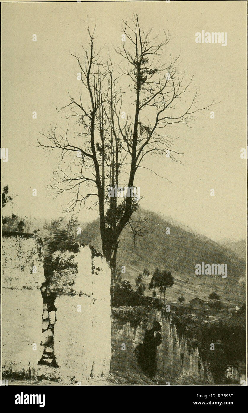 Matasano hi-res stock photography and images - Alamy