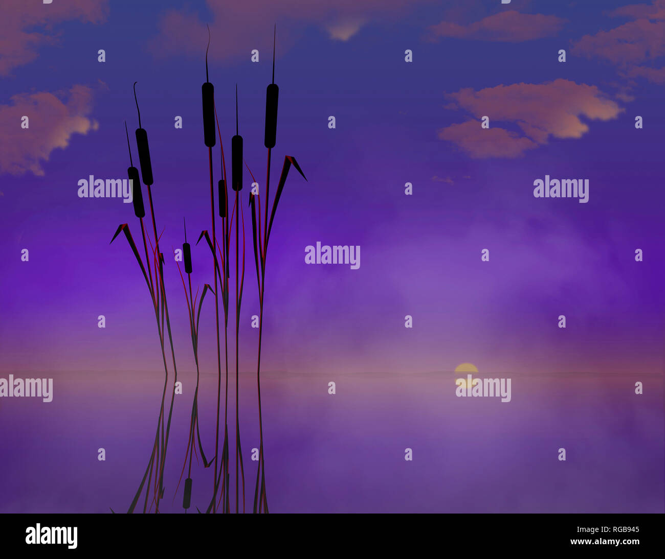 Cattails in water are the subject of this natural background image ...