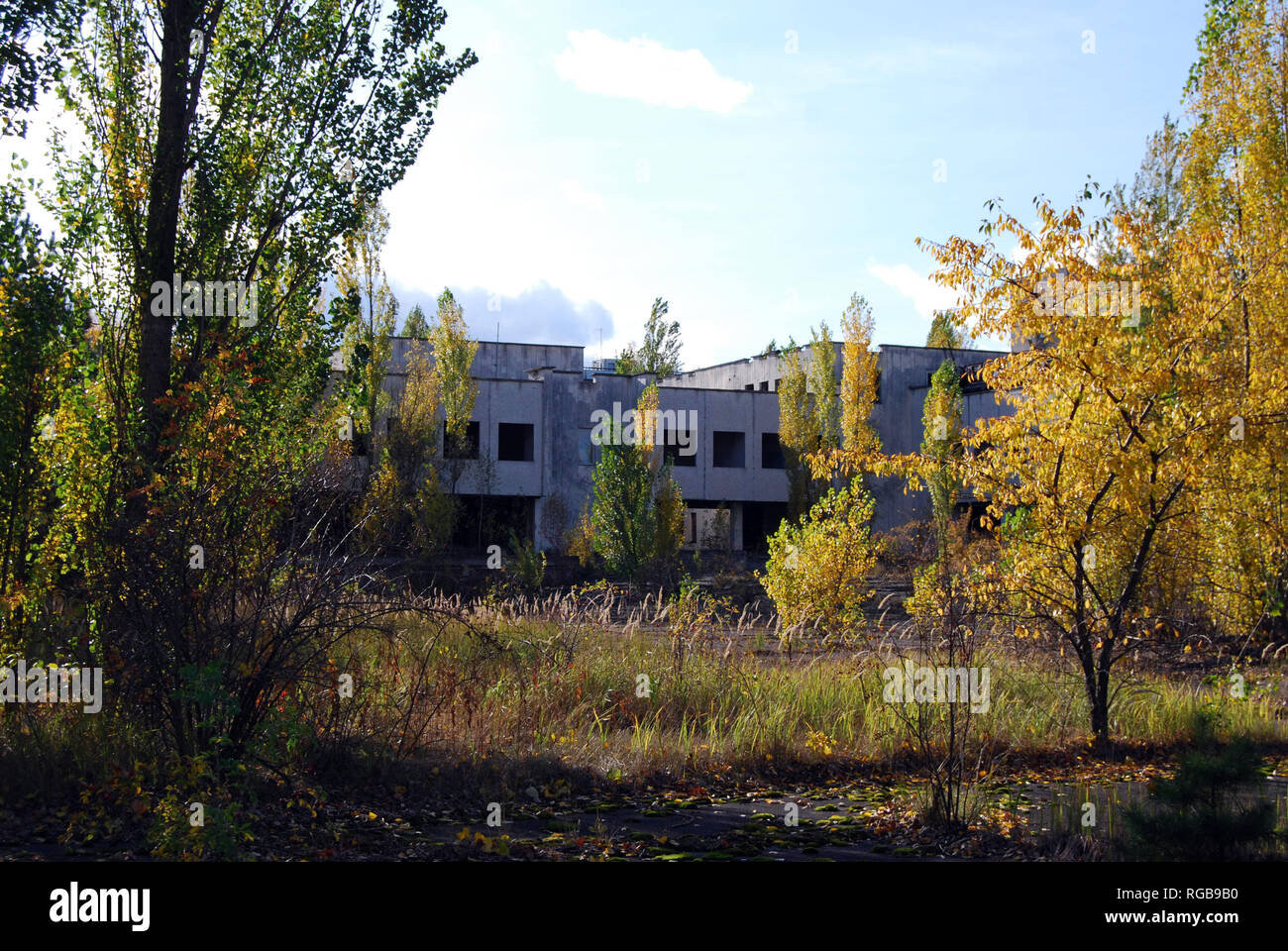 The abandoned streets and buildings in the town of Pripyat in the ...