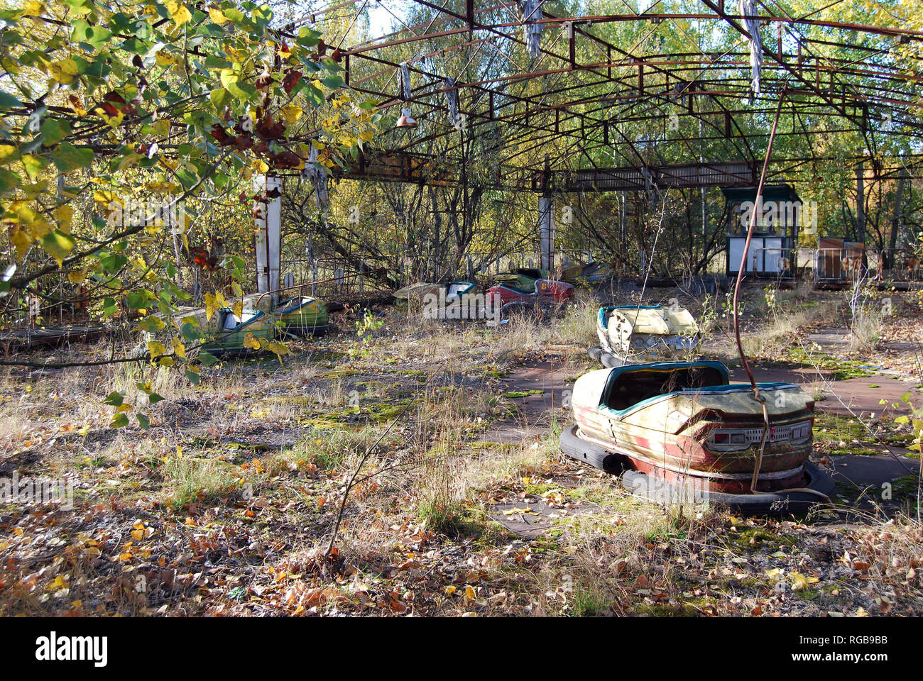 Red Forest Ukraine Chernobyl Stock Photos & Red Forest Ukraine ...