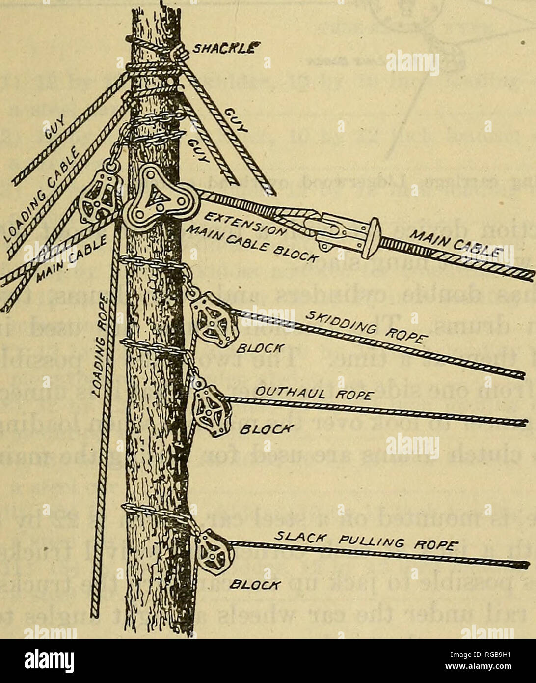 Lidger hi-res stock photography and images - Alamy
