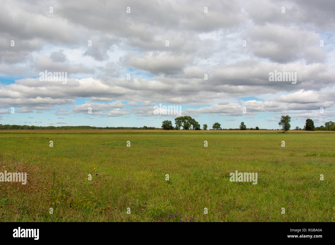 Agriculture green distance hi-res stock photography and images - Alamy