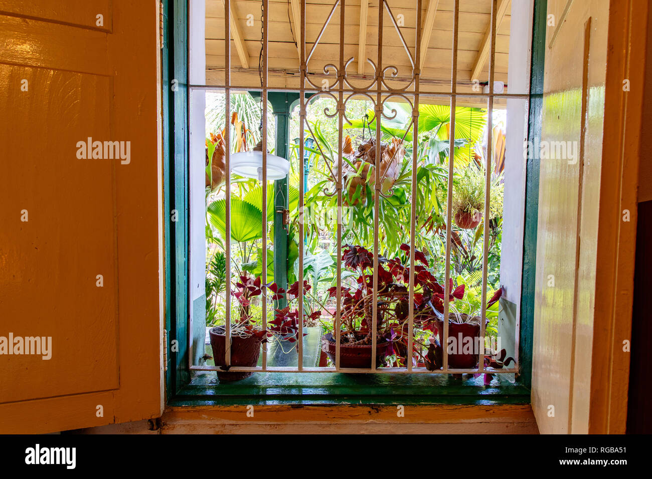 View of a garden with green bushes looking through a window Stock Photo ...