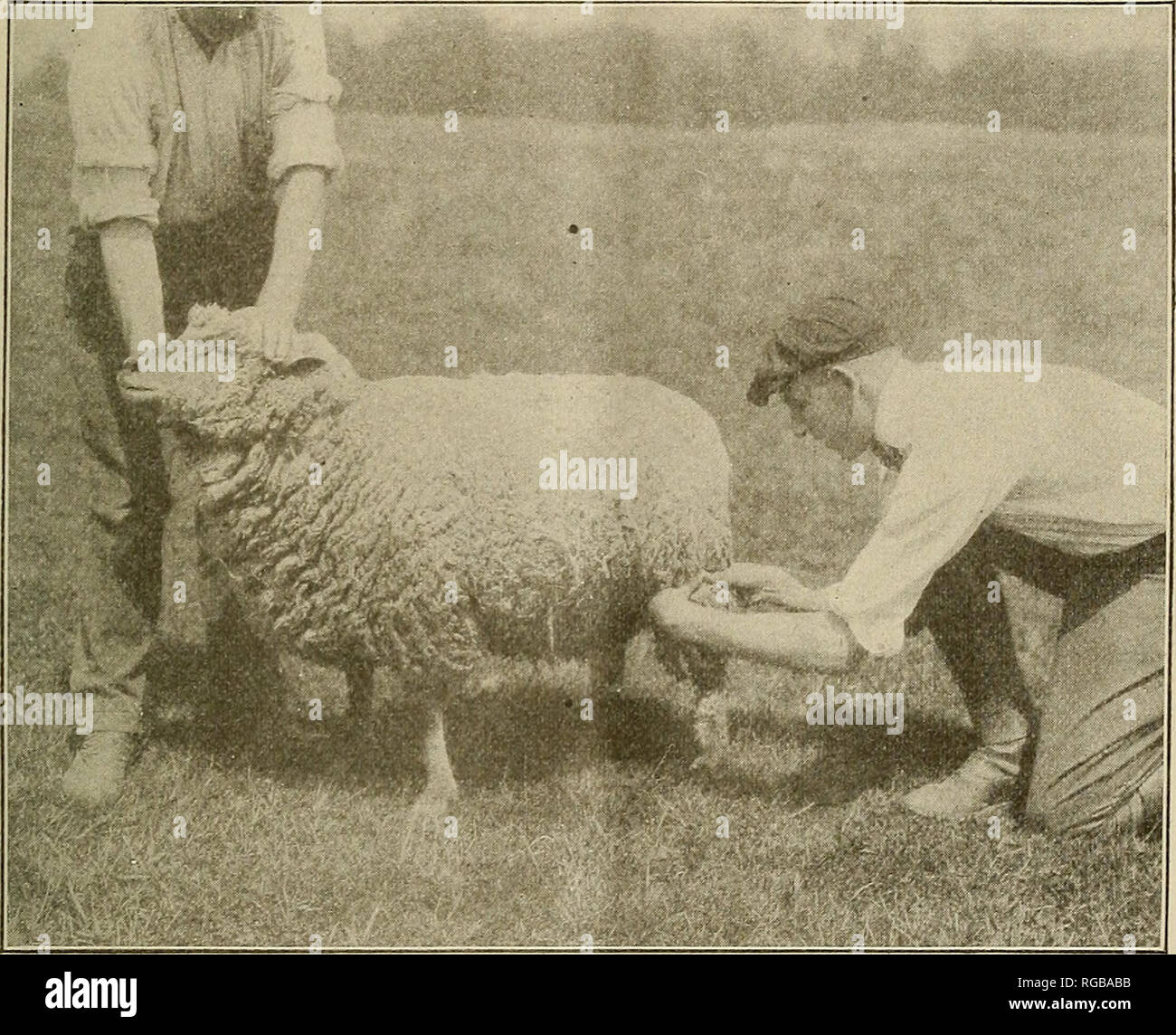 . Bulletin of the U.S. Department of Agriculture. Agriculture ...