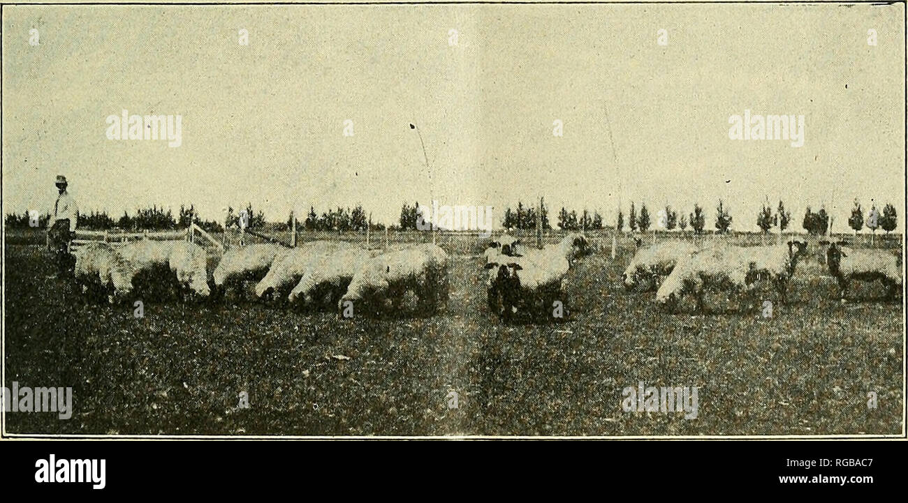 Minidoka project hi-res stock photography and images - Alamy