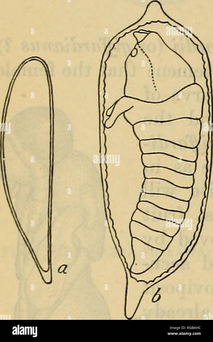 . Bulletin of the U.S. Department of Agriculture. Agriculture ...