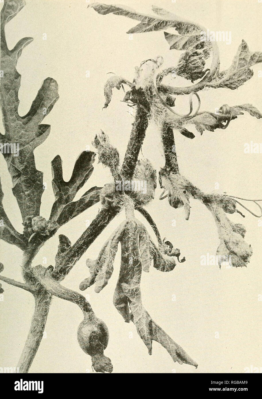 . Bulletin of the U.S. Department of Agriculture. Agriculture ...