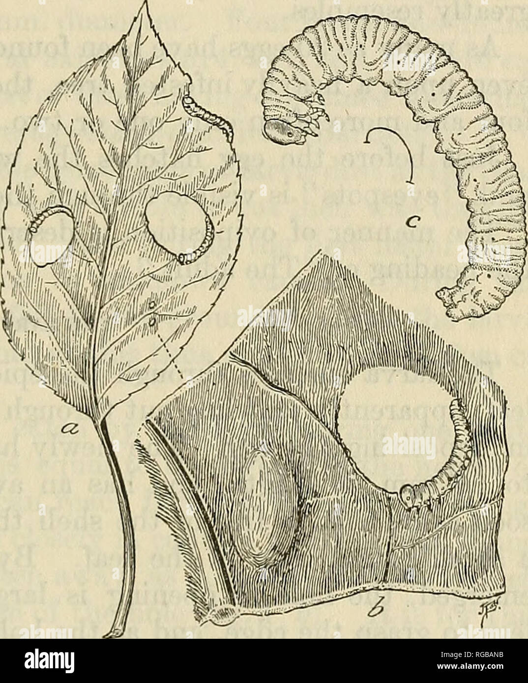 . Bulletin of the U.S. Department of Agriculture. Agriculture ...