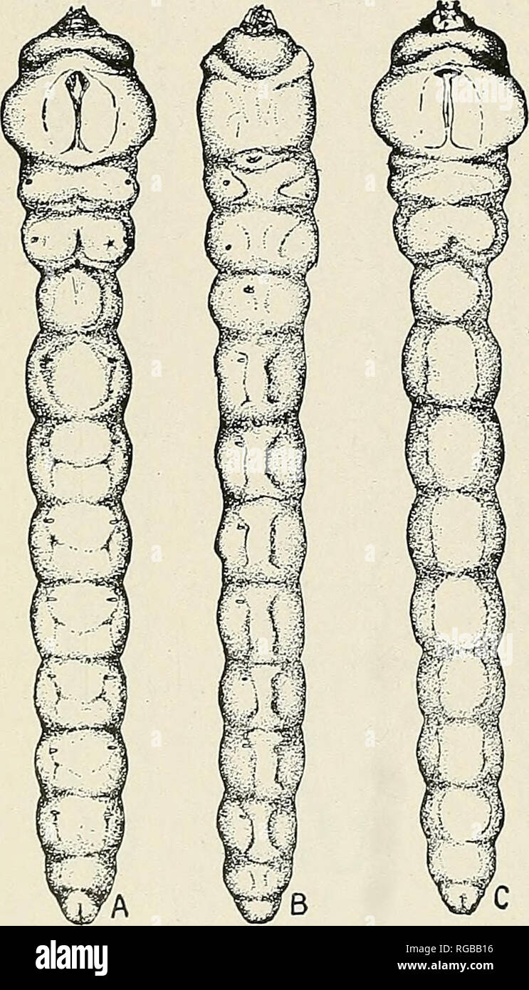 . Bulletin of the U.S. Department of Agriculture. Agriculture ...