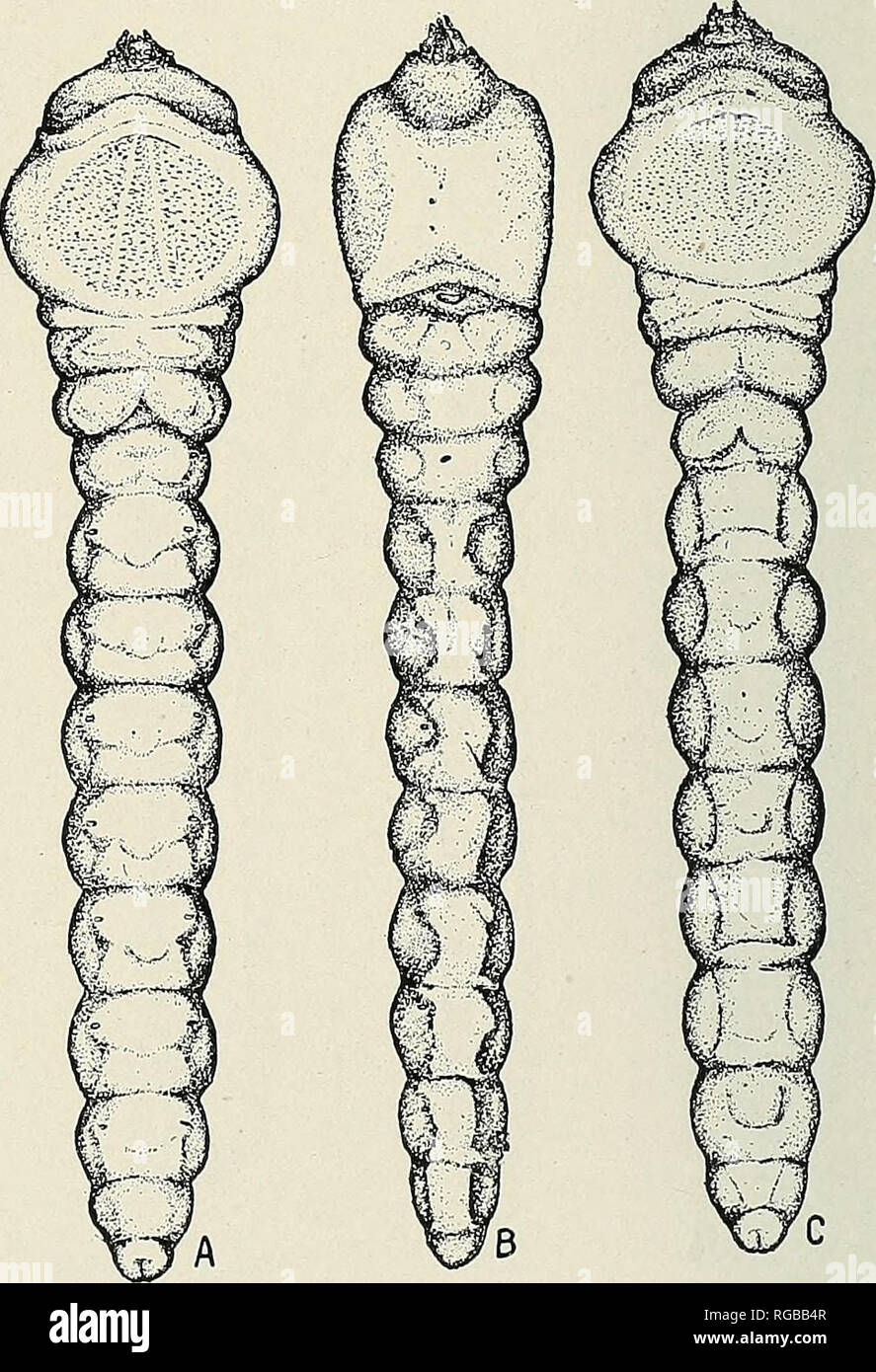 . Bulletin of the U.S. Department of Agriculture. Agriculture ...