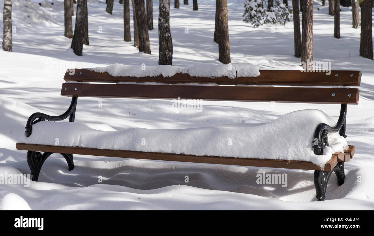 Empty bench in winter forest hi-res stock photography and images - Alamy