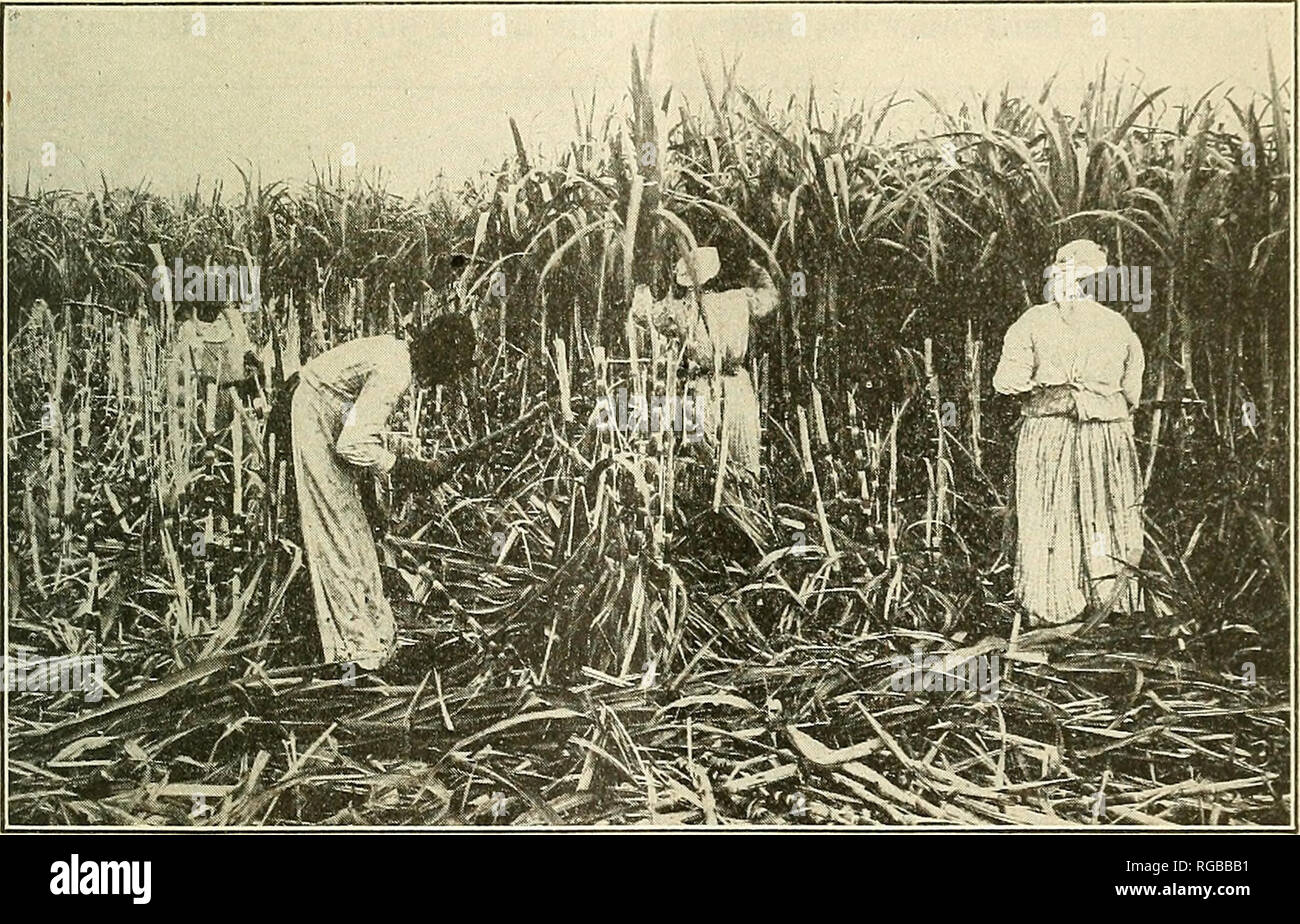 . Bulletin of the U.S. Department of Agriculture. Agriculture ...