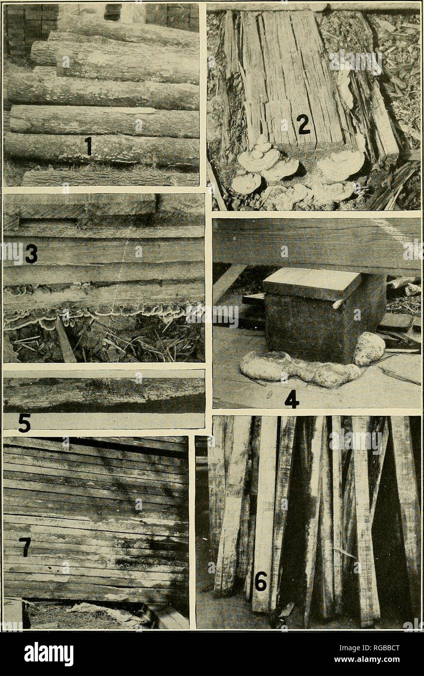 . Bulletin of the U.S. Department of Agriculture. Agriculture ...