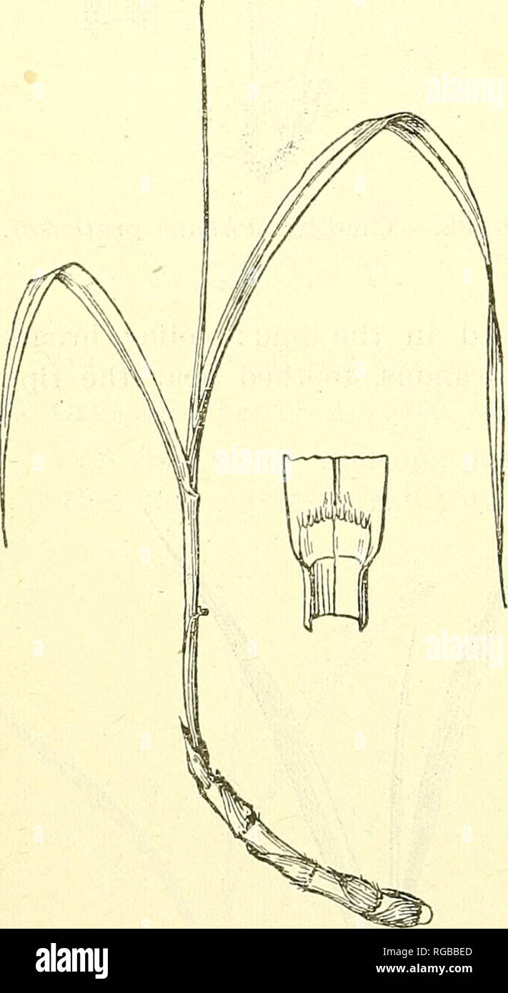 . Bulletin of the U.S. Department of Agriculture. Agriculture ...