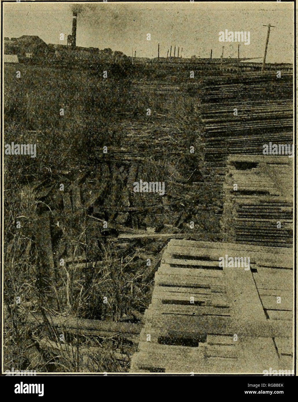 Rotted timbers hi-res stock photography and images - Alamy