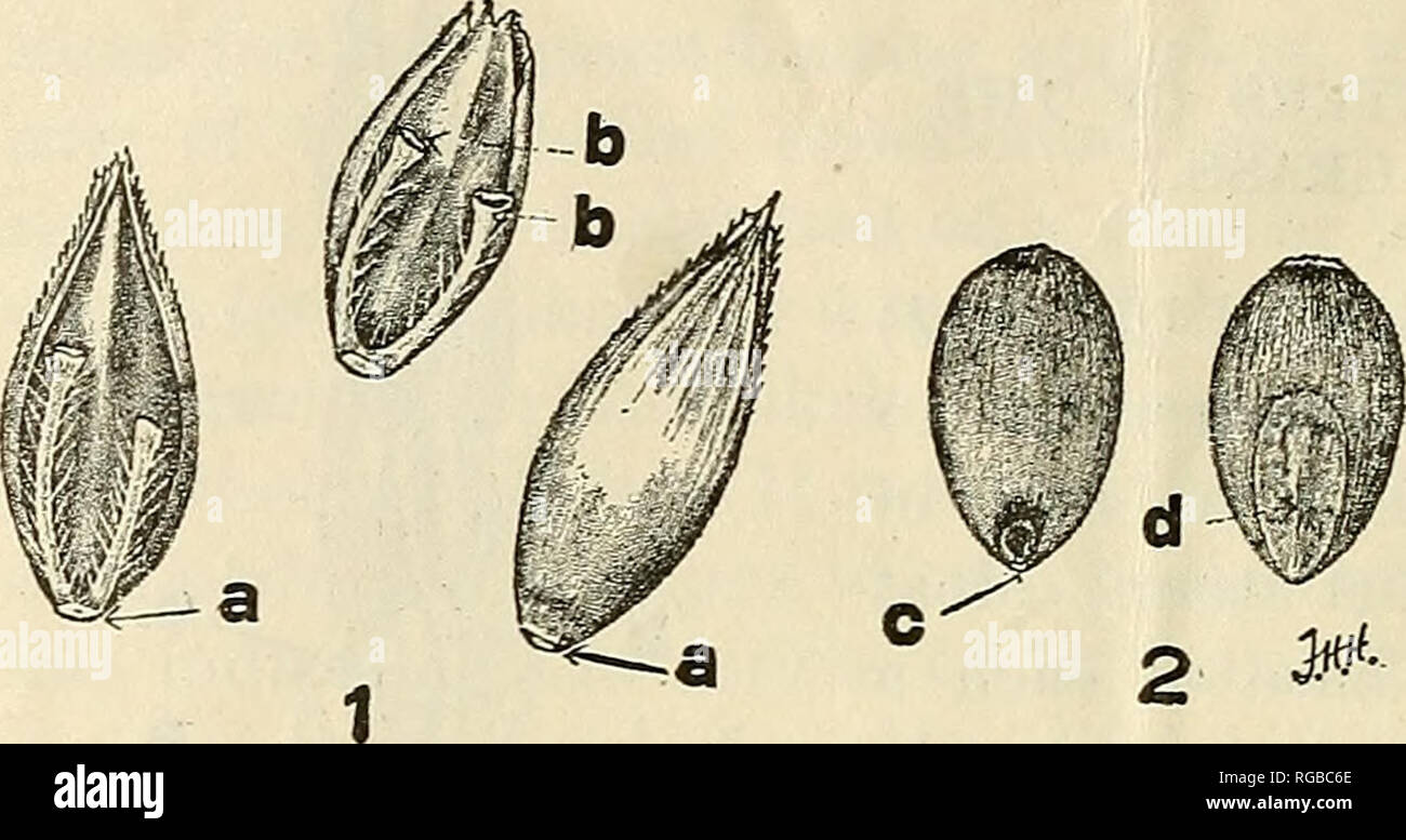 . Bulletin of the U.S. Department of Agriculture. Agriculture ...