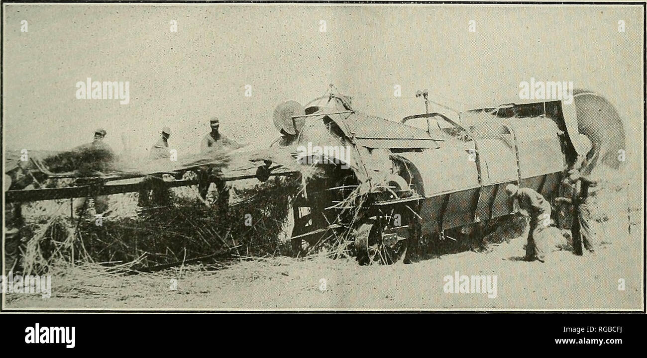 Water retting of hemp hi-res stock photography and images - Alamy