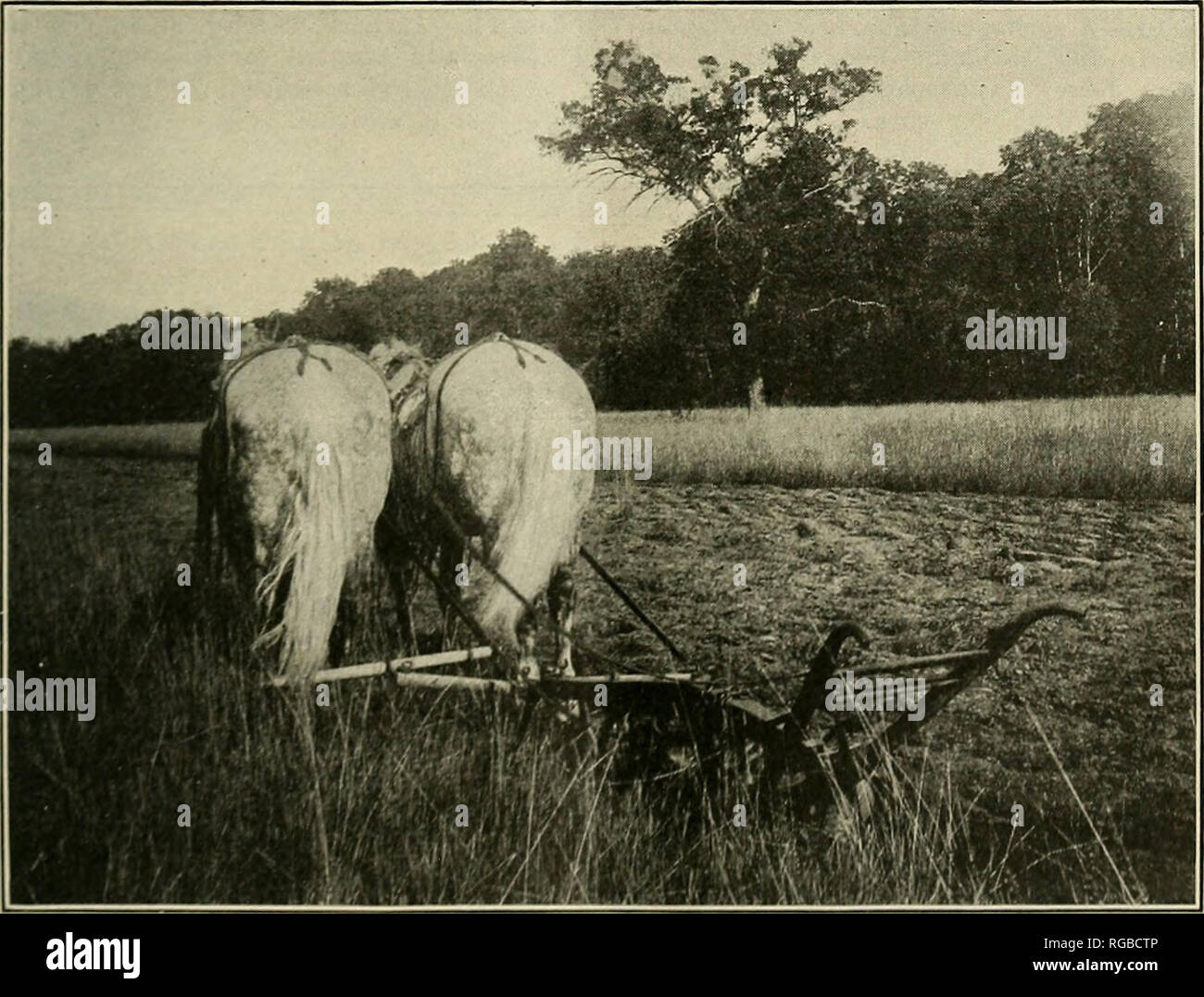 In waushara hi-res stock photography and images - Alamy