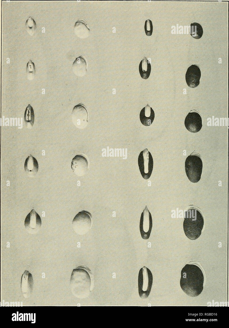 Listed bui hi-res stock photography and images - Alamy