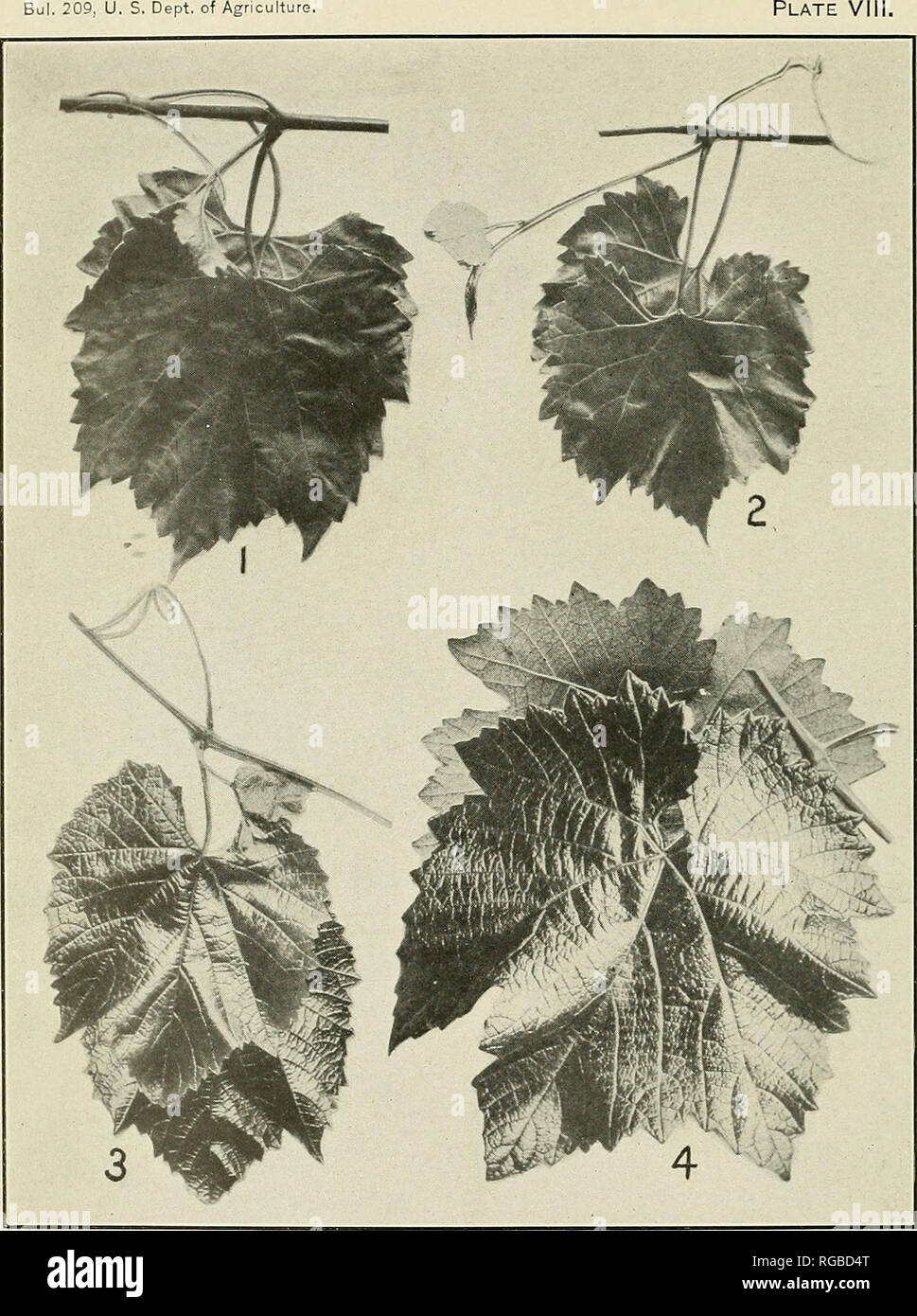 420a hi-res stock photography and images - Alamy